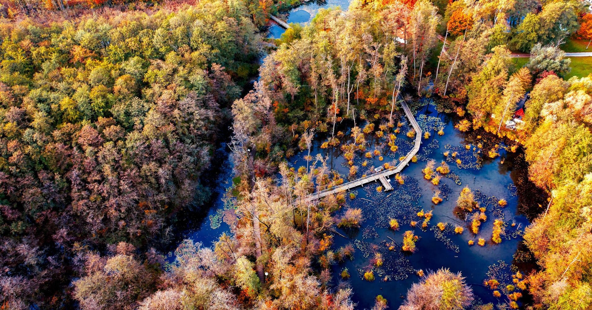 Őszi kirándulás a Tatai Fényes Tanösvényen